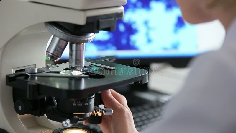 Microbiology Laboratory Work, Petri Dish Stock Video - Video of ...