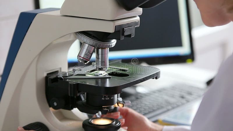 Microbiology Laboratory Work with Microscope Stock Footage - Video of ...