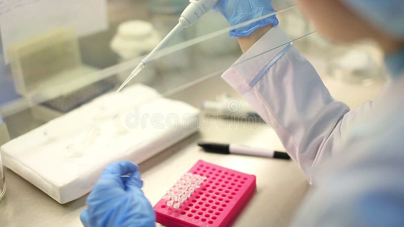 Microbiology Laboratory Work, Petri Dish Stock Video - Video of ...