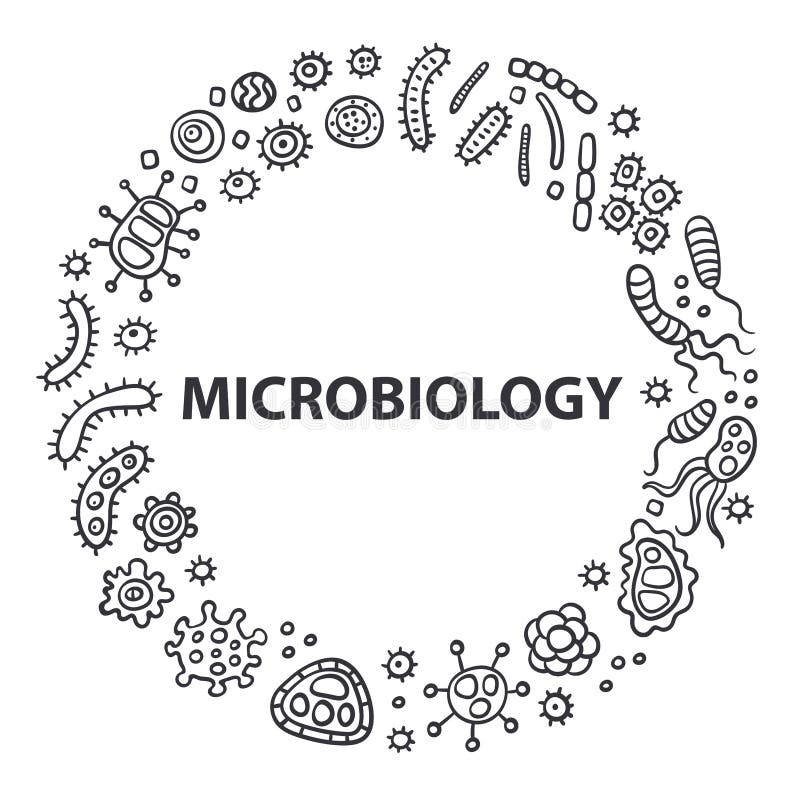 Microorganism Stock Illustrations – 13,047 Microorganism Stock ...