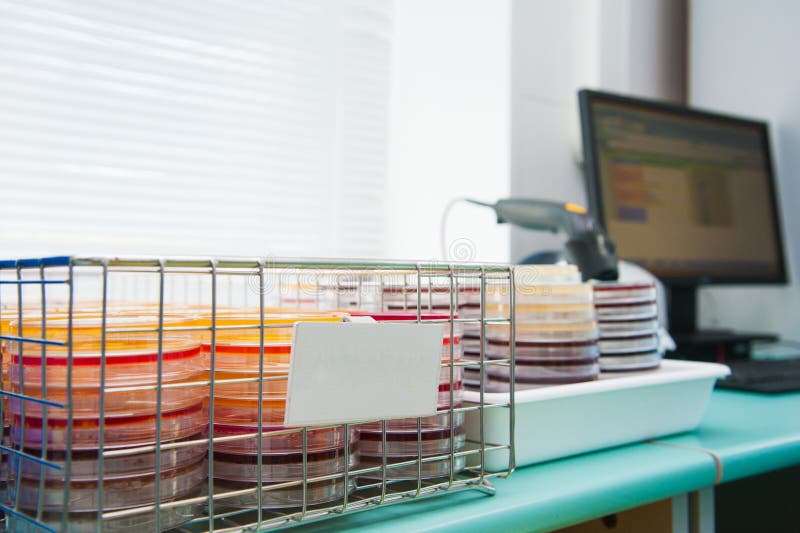 Microbiology Research in Laboratory Stock Photo - Image of health ...