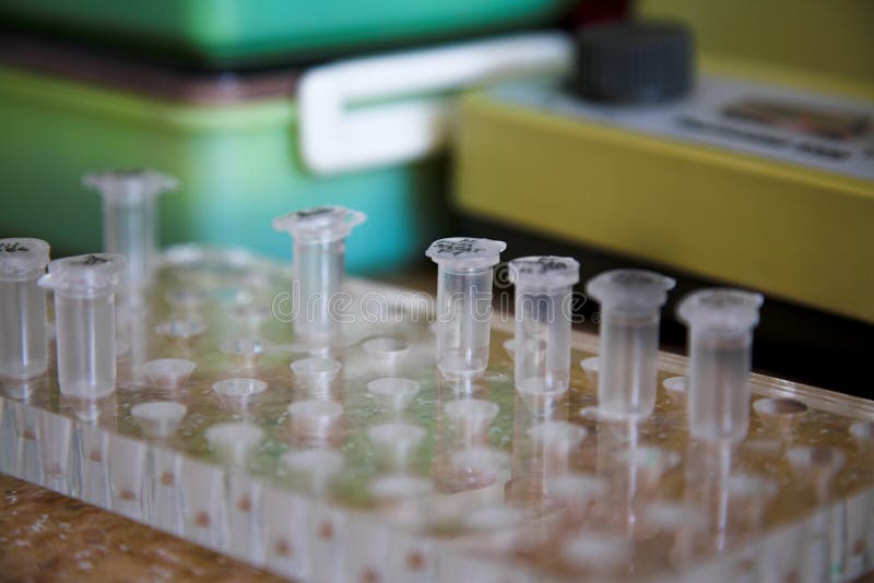 Microbiology science stock photo. Image of doctor, education - 7032188