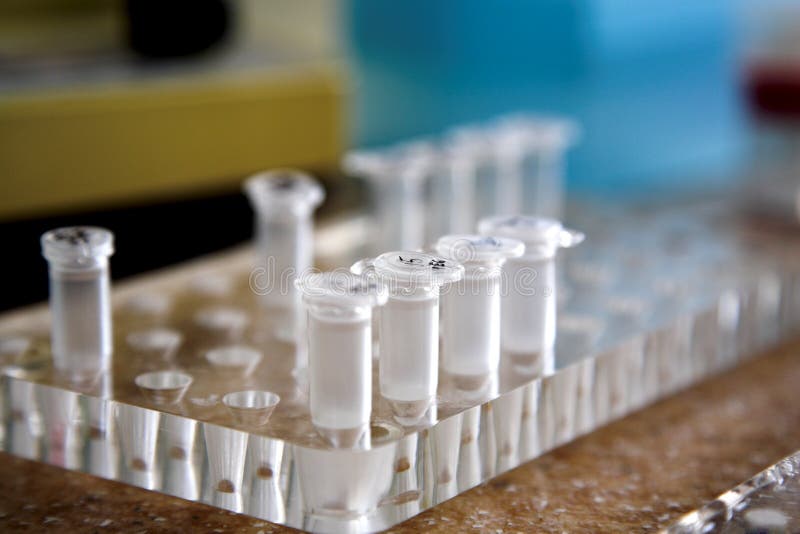 Microbiology science stock image. Image of life, laboratory - 1923971