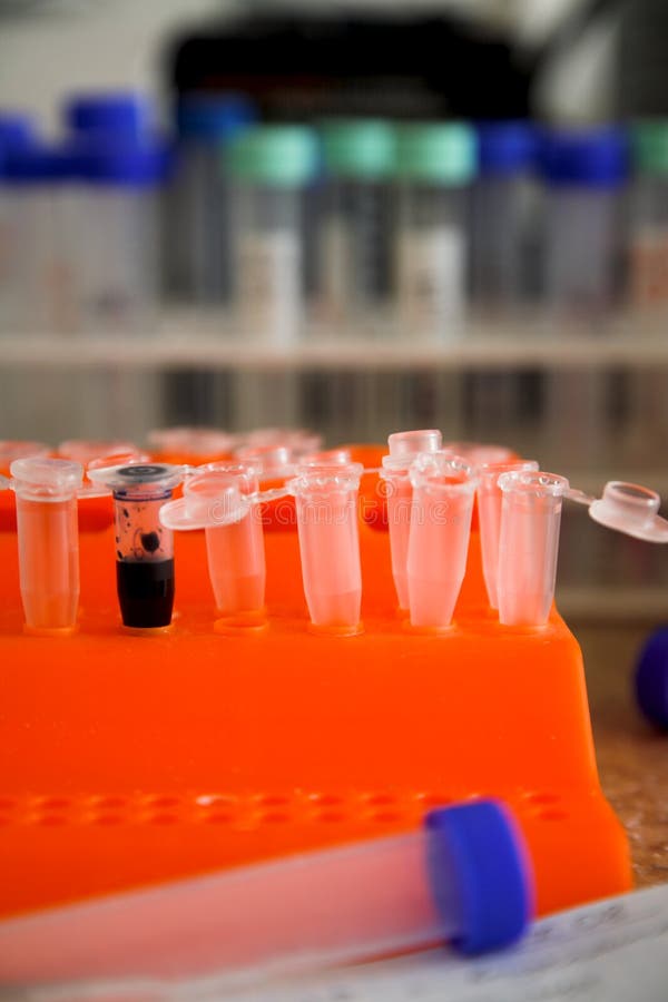 Microbiology science stock photo. Image of control, medicine - 1918756