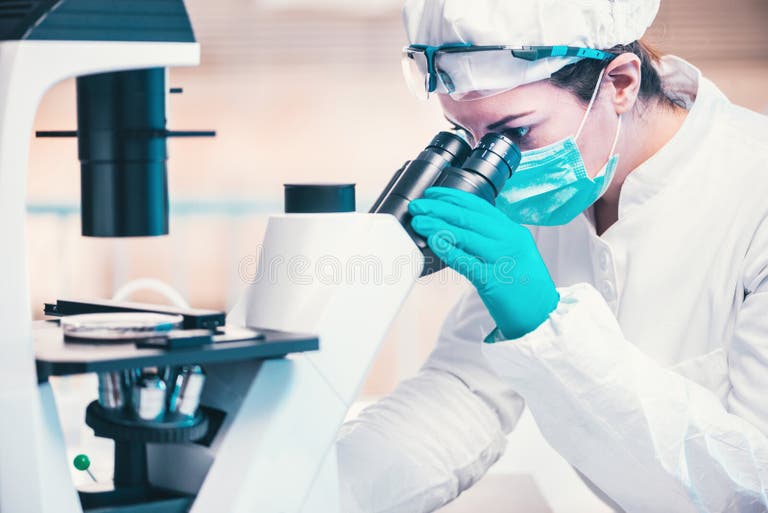 Microbiology, Technician Working with Bacteria Strains Stock Photo ...