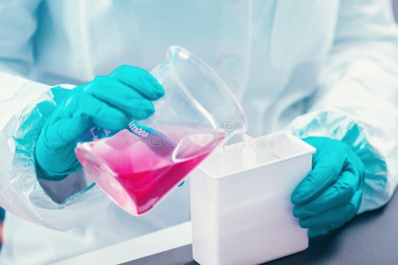 Microbiology, Technician Working with Bacteria Strains Stock Photo ...