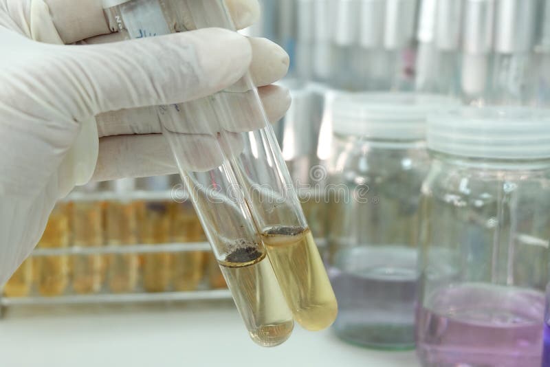 Microbiology Tool for Laboratory Test Stock Photo - Image of organism ...