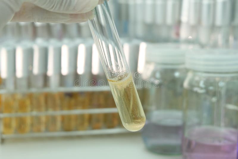 Microbiology Tool for Laboratory Test Stock Image - Image of medicine ...