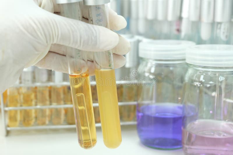 Microbiology Tool for Laboratory Test Stock Photo - Image of ...