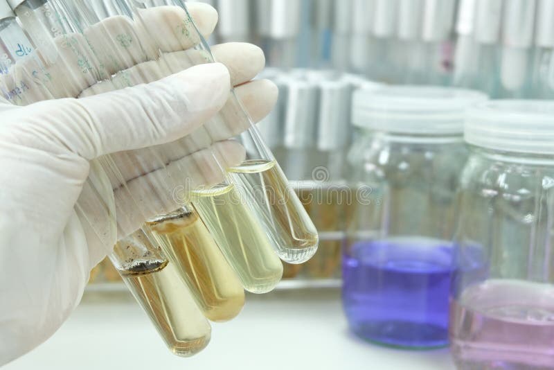 Microbiology Tool for Laboratory Test Stock Photo - Image of bacterial ...