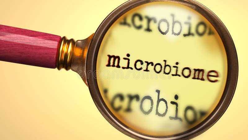 Microbiome Under Magnifying Glass. Thorough Analysis and Inspection of ...