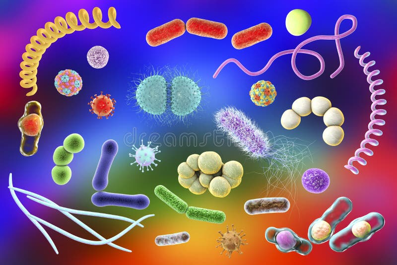 Microbios De Diversas Formas Stock de ilustración - Ilustración de ...