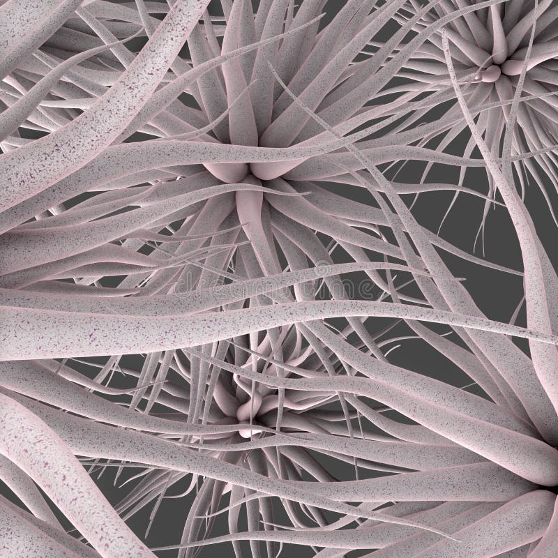 Microcells close-up stock illustration. Illustration of macro - 31382987