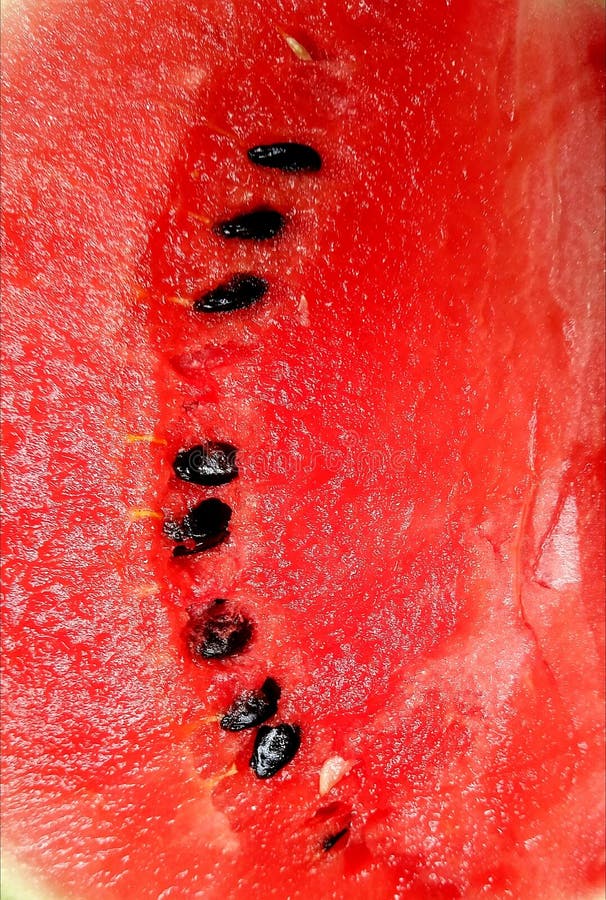 Microcosmic of Watermelon with Watermelon Seeds Stock Photo - Image of ...