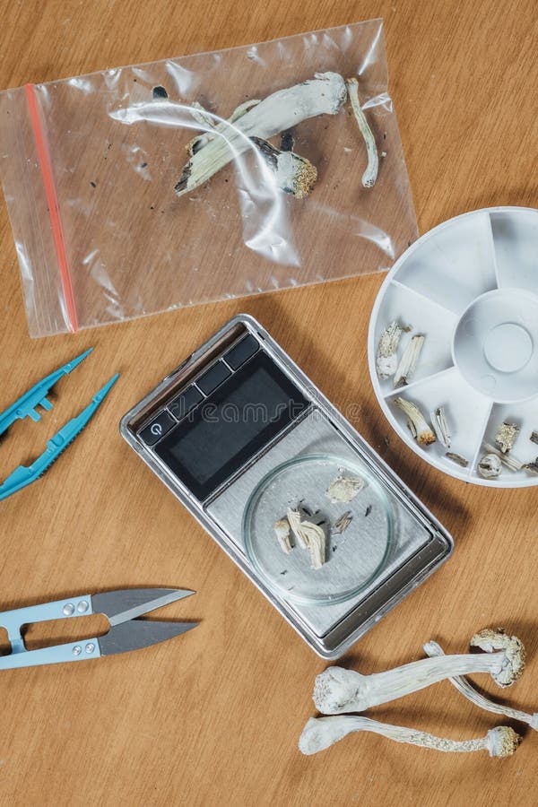 Microdosing Magic Mushrooms Psilocybin. Measuring daily Micro Dose of ...