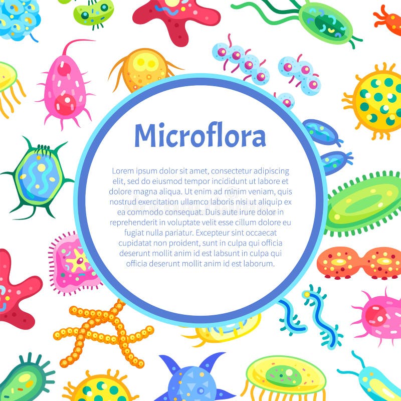 Microflora Poster and Bacteria Vector Illustration Stock Vector ...