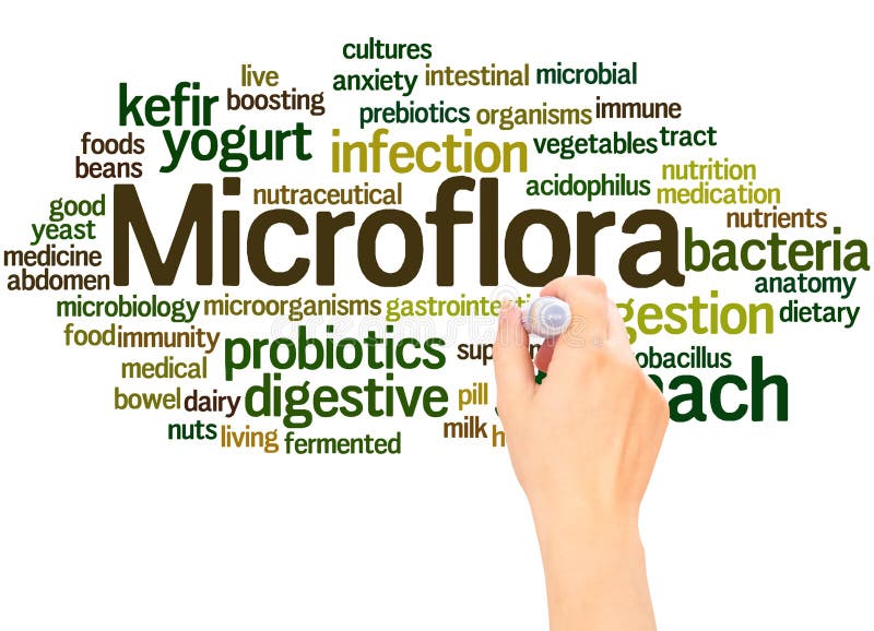 Microflora Word Cloud Hand Writing Concept Stock Illustration ...