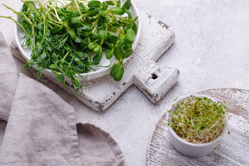 Microgena De Ervilha De Girassol E Alfafa Foto de Stock - Imagem de ...