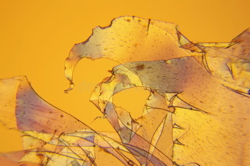 Air Bubble Stool Microscopy Stock Photos - Free & Royalty-Free Stock ...