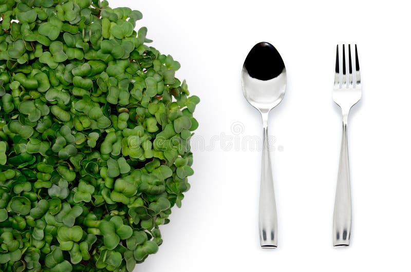 Micro Green Leaves and Cutlery on White Background Stock Image - Image ...