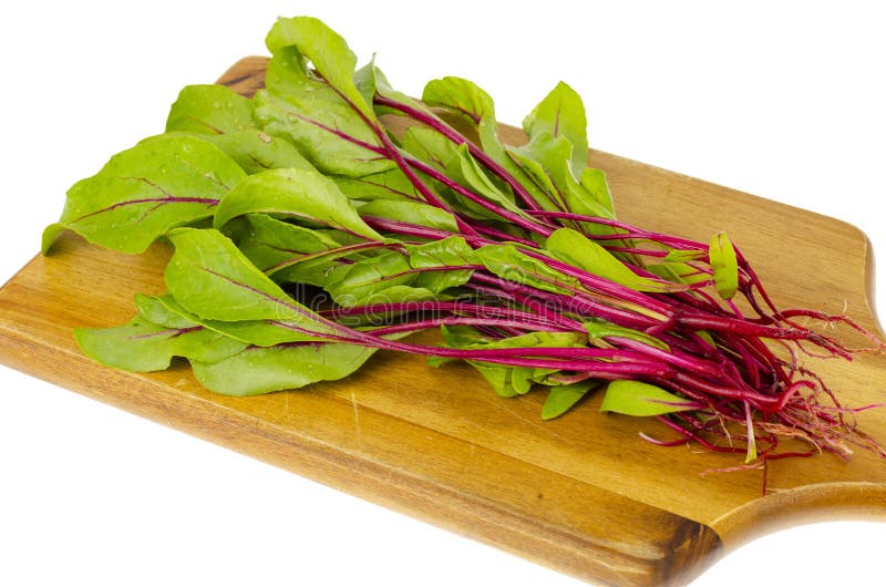 Microgreen. Red Beetroot Sprouts for Cooking Vegetarian Dishes Stock ...