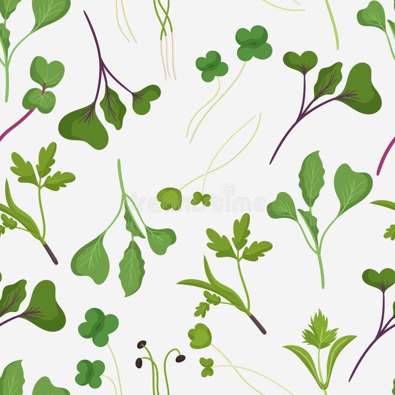 Microgreen Seamless Pattern, Vibrant and Lively Design Showcasing a ...