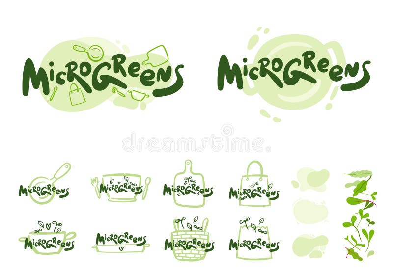 Microgreens or Baby Greens, Sprouts and Seeds, Logo, Illustration ...