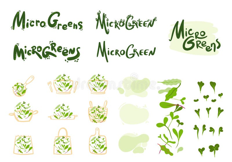 Microgreens or Baby Greens , Lettering, Logo,illustration Objects Stock ...