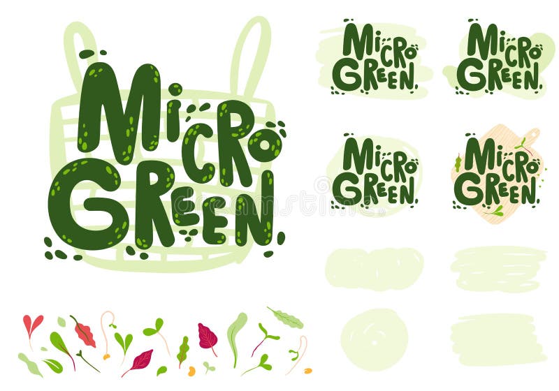 Microgreens or Baby Greens , Lettering, Logo,illustration Objects Stock ...