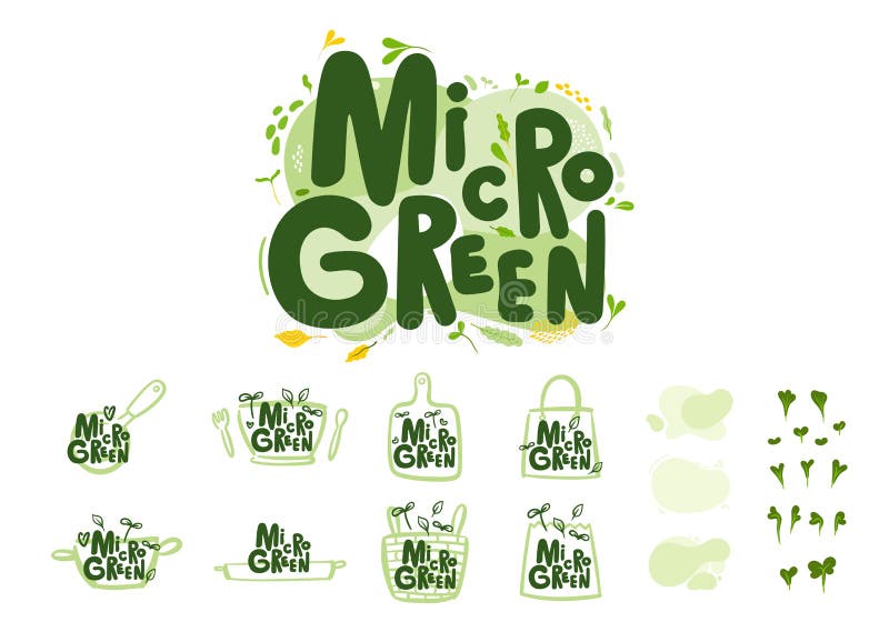 Microgreens or Baby Greens , Lettering, Logo,illustration Objects Stock ...