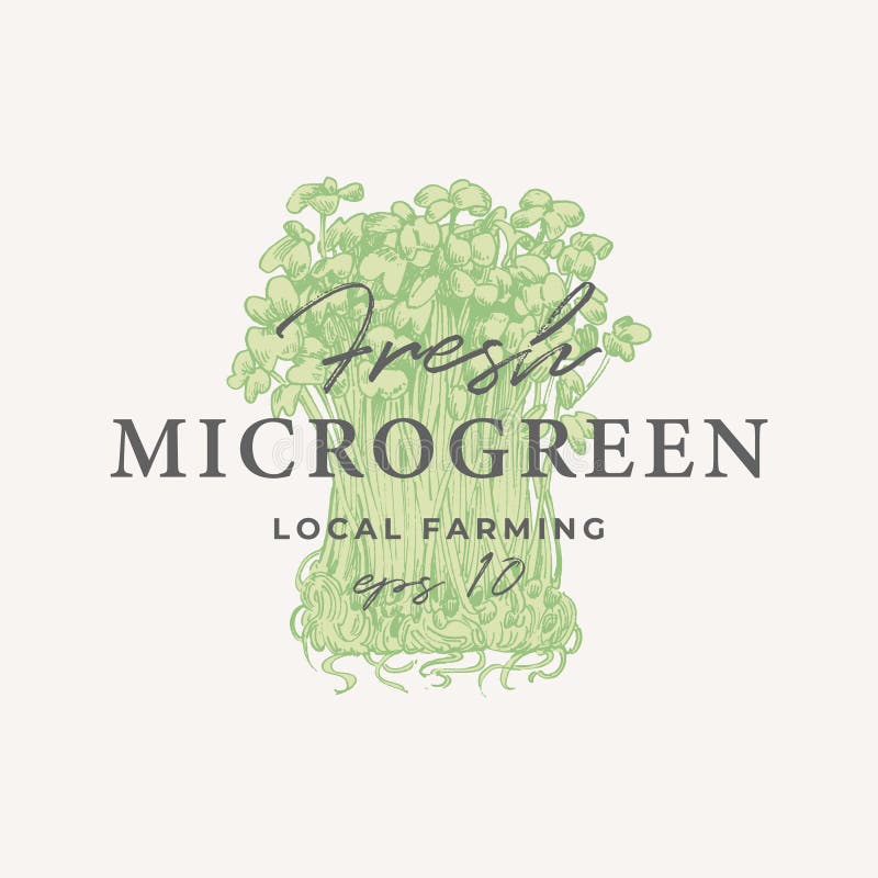 Microgreens Engraved Emblem Stock Vector - Illustration of logo, emblem ...