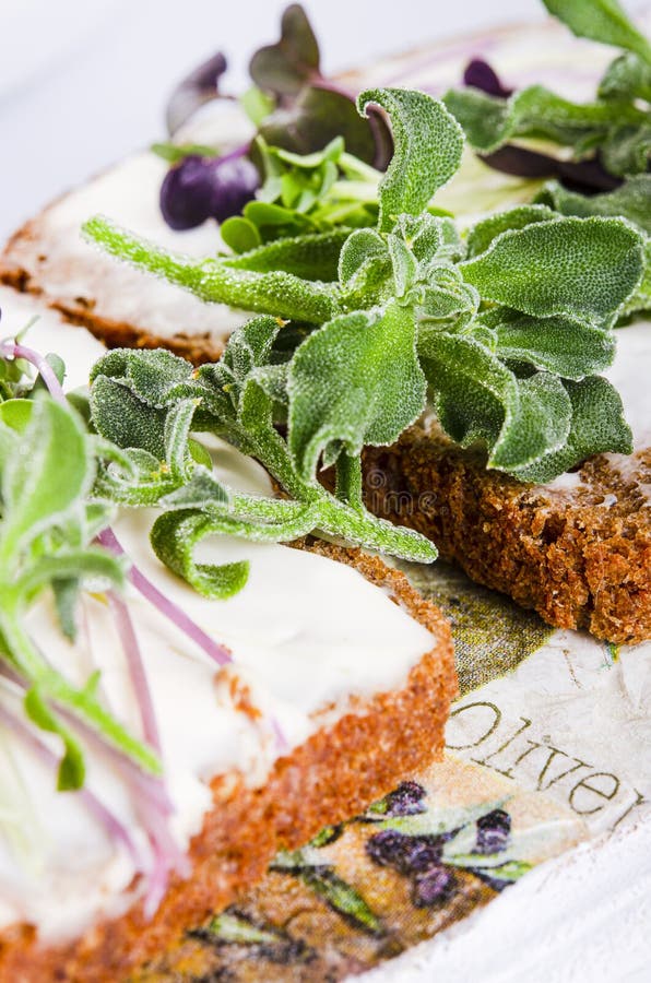 Microgreens Growing Background with Microgreen. Stock Image - Image of ...