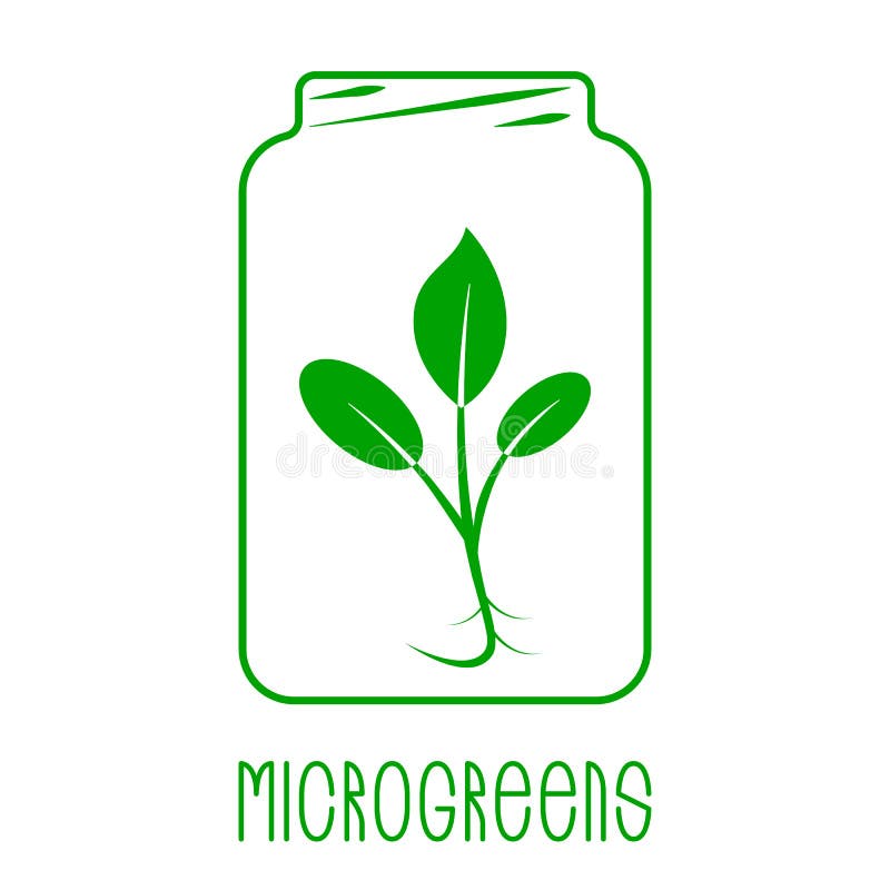 Microgreens Logo. Plant in a Glass Jar. Seed and Living Microgreens ...