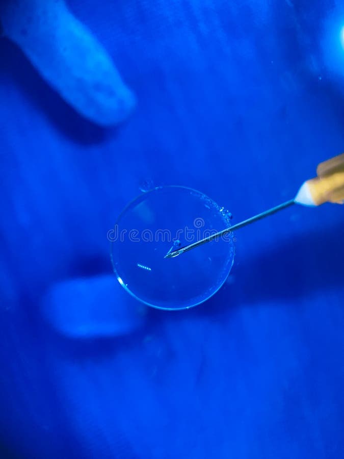 Microinjection into Egg Cell Under Microscope Stock Image - Image of ...