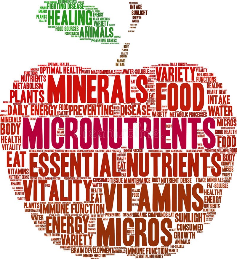 Micronutrients Word Cloud stock vector. Illustration of growth - 158976091
