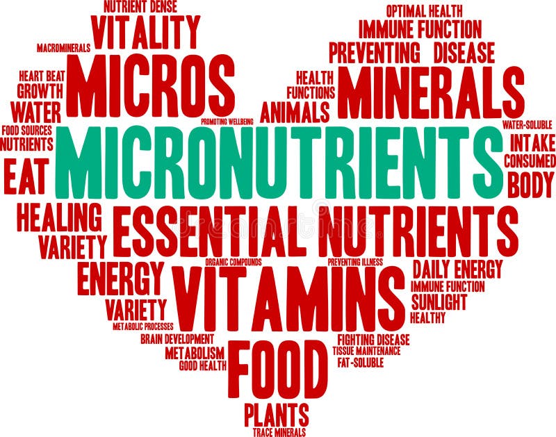 Micronutrients Plants Stock Illustrations – 166 Micronutrients Plants ...
