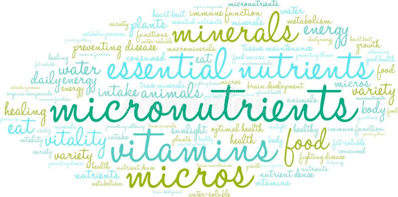 Micronutrients Word Cloud stock vector. Illustration of brain - 158976134
