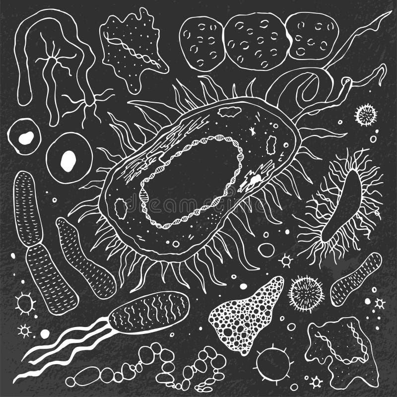 Bacteria hand-drawn image stock vector. Illustration of micro - 123687616