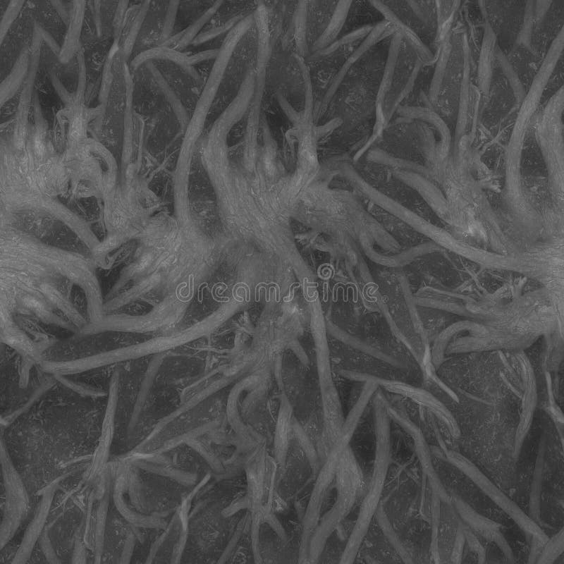 The Microorganisms Causing Human Disease Under a Strong Magnification ...