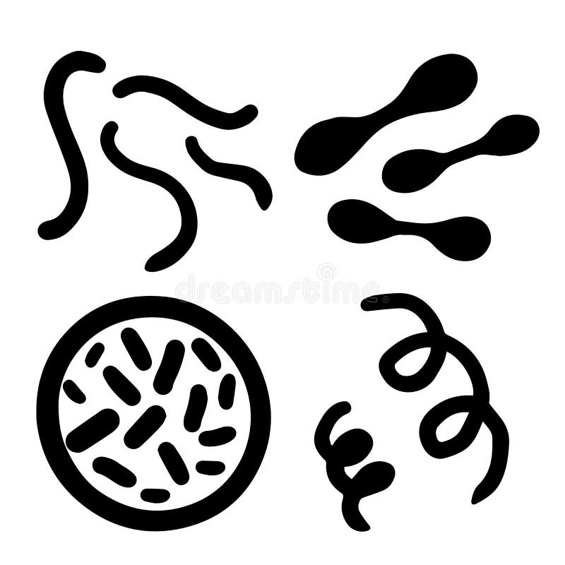 Spirilla Vibrio Stock Illustrations – 73 Spirilla Vibrio Stock ...