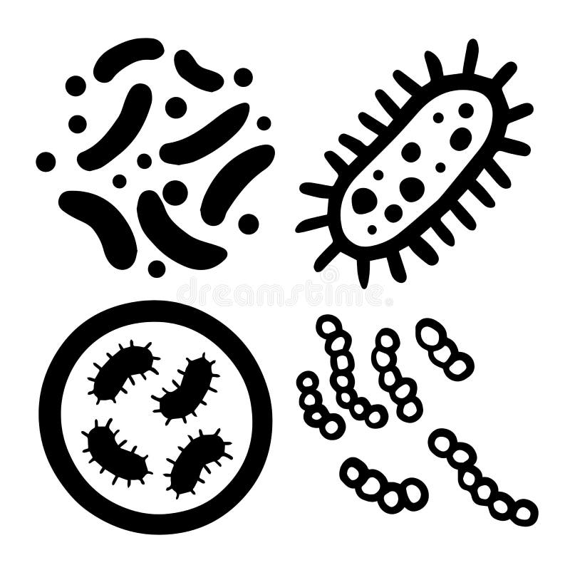 Microorganisms in Vibrio Coccus and Bacilli Shapes Stock Vector ...
