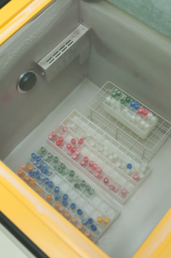 Microorganisms in the Microbiological Laboratory in the Freezer ...