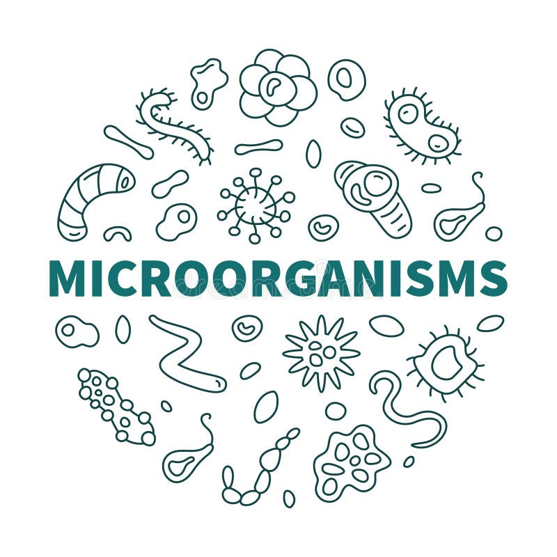 Microorganisms Vector Micro Organisms Concept Line Vertical Banner with ...