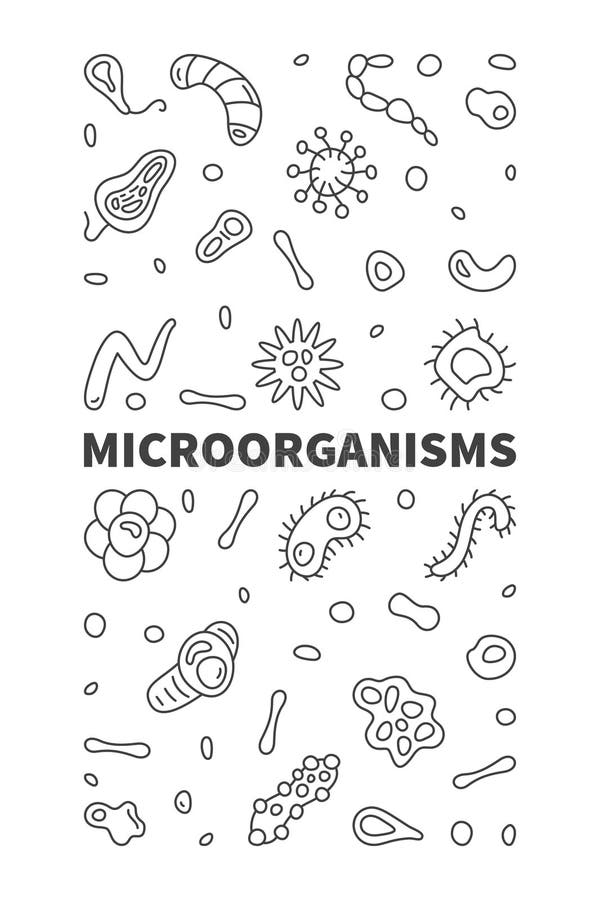 Microorganisms Vector Micro Organisms Concept Line Vertical Banner with ...