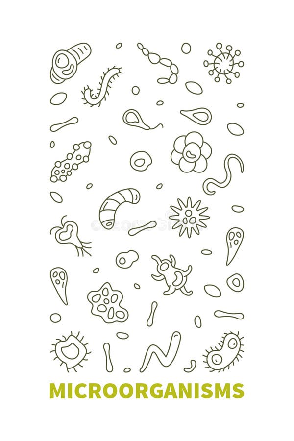 Microorganisms Vector Micro Organisms Concept Line Vertical Banner with ...