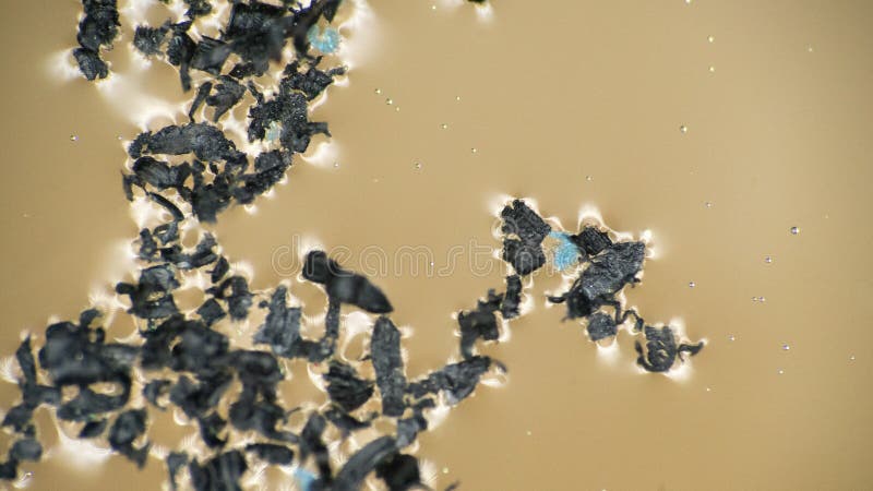 Shooting of Small and Micro Plastic Pieces in Water Environment Stock ...