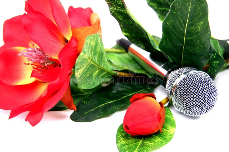 1,126 Flower Microphone Stock Photos - Free & Royalty-Free Stock Photos ...