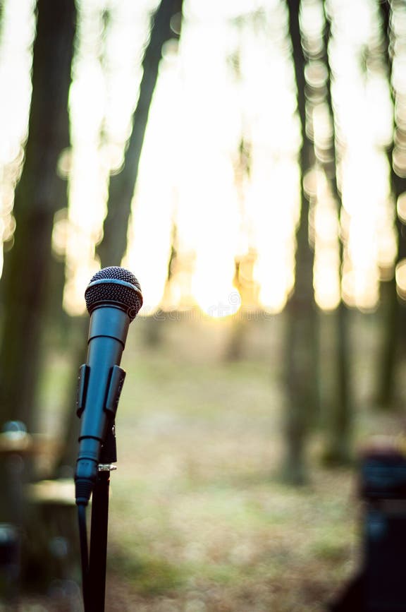 Microphone Close Up in the Forest at Sunset Stock Photo - Image of copy ...