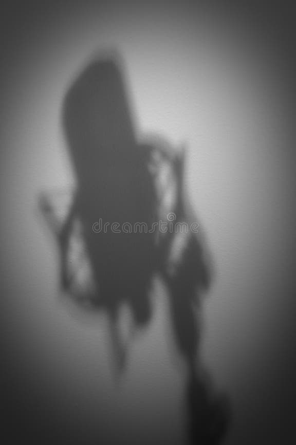 Microphone Shadow stock photo. Image of wall, shadow - 12810198