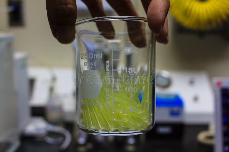 Micro Pipette Tips Inside of the Beaker and Holding by Hand in La Stock ...